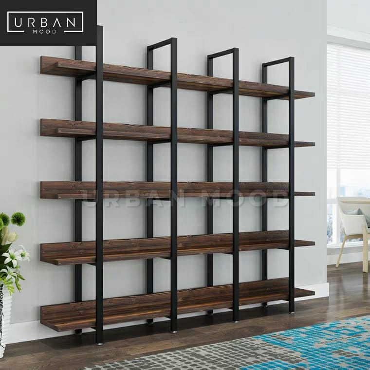 Wooden Library Shelves