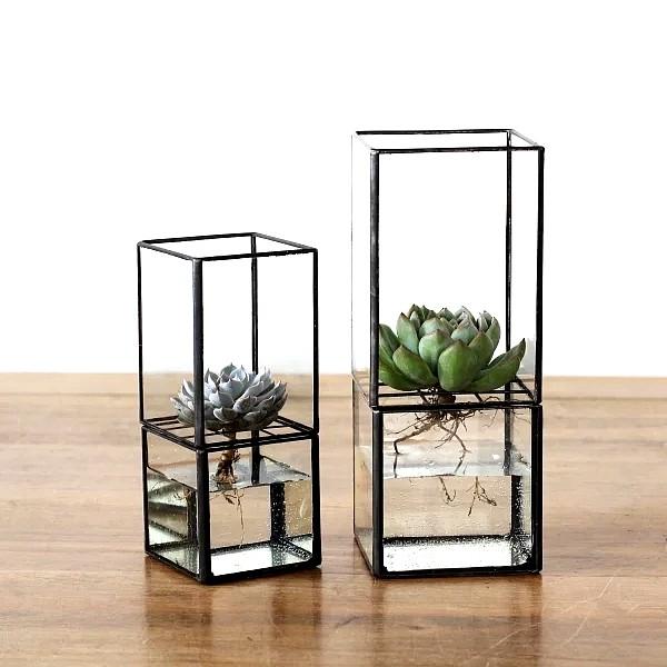 WISTMAN Minimalist Acrylic Planter – Urban Mood